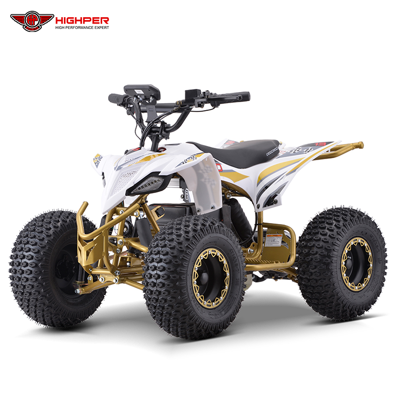 China 800W 36V / 48V 20AH ATV Manufacturer and Exporter | Highper