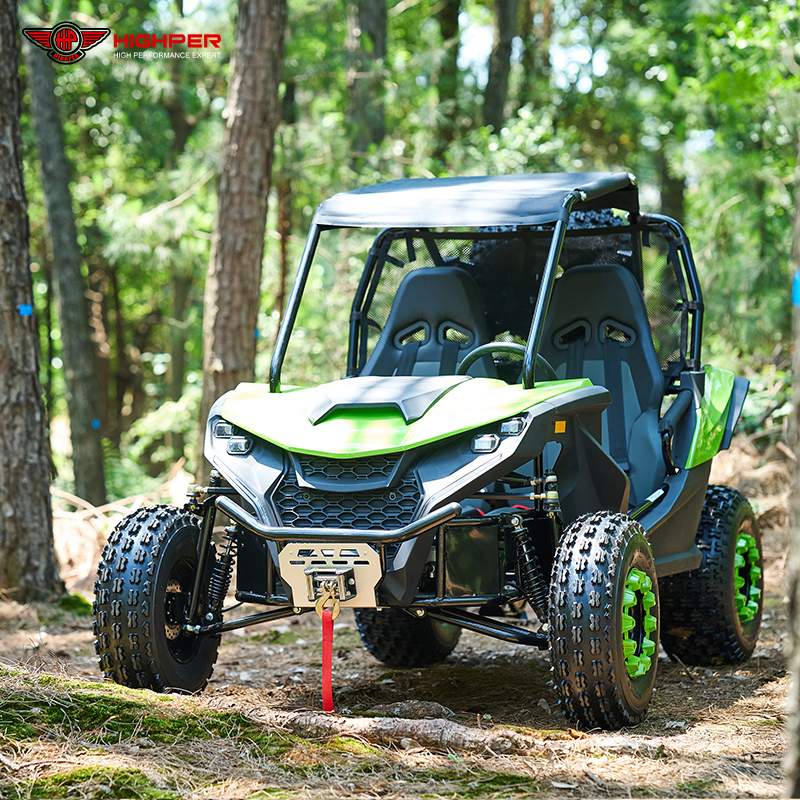 China 200cc Go-kart with CAE Frame Rally Suspension for Adults ...