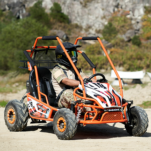 China Go Kart Buggy Gas 212cc with Nice Looking for Kids Manufacturer ...