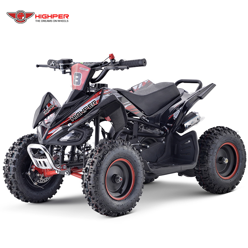 China 2-Stroke Mini Gas Powered 49cc Mini Quad Motorcycle Manufacturer ...